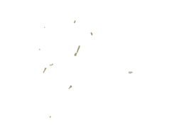 Atharva Group of Companies : Home